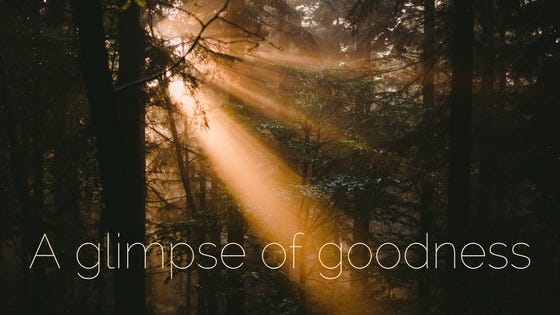 A glimpse of goodness. Inspiration and encouragement from a… | by Cathy ...