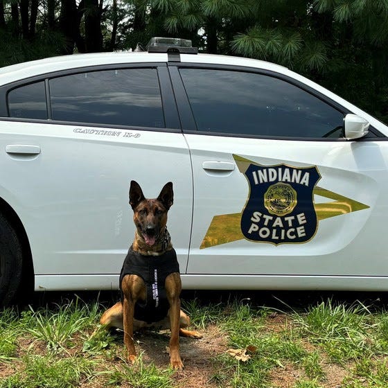 K9 Daisy Suited Up: Indiana State Police Pup Gets Lifesaving Armor ...