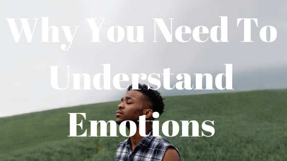 Why You Need To Understand Emotions (Part Two) | by S. R. Crawford | Medium