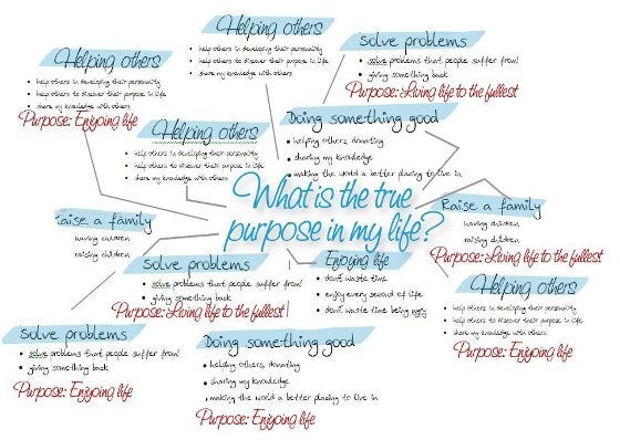 Unique purposes of life differentiate us from others | by Rida zahra ...