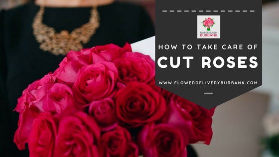 HOW TO TAKE CARE OF CUT ROSES?. Roses are one of the most popular… | by ...