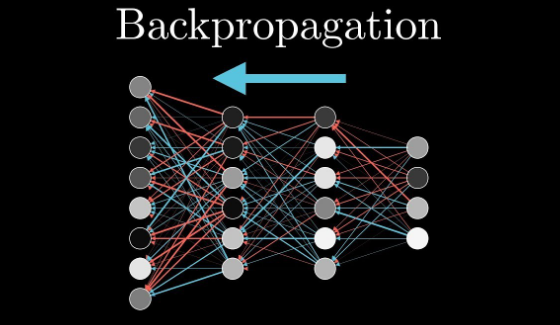 Back propagation neural network. Backpropagation is the backbone of ...