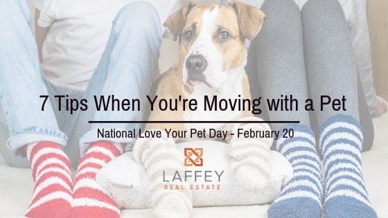 7 Tips When You’re Moving With A Pet | by Laffey RE | Medium