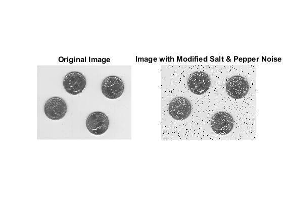 Adding Custom Salt and Pepper Noise to Images | by Barira Khan Ghauri ...