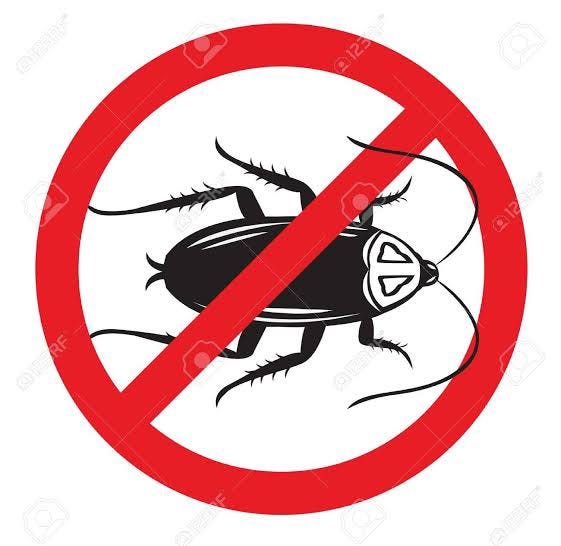 Survival of a Roach!. Yes, I am dedicating this time to… | by Shivani ...