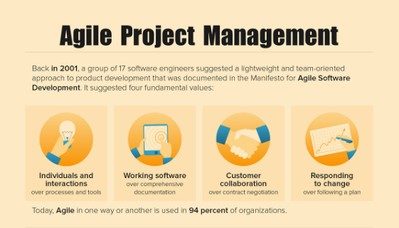 Agile Software Development Infographic