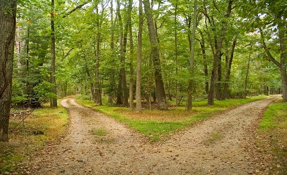 The Road Not Taken. Two roads diverged in a wood, and I — | by Santiago ...