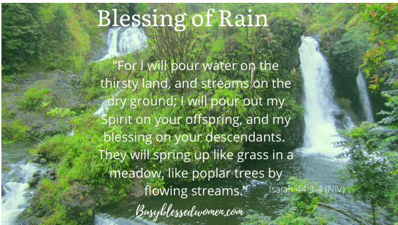“Rain as the Blessing of Allah”. Introduction: | by Dr. Sidra | Medium