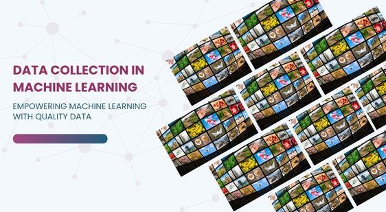 The Lifeblood of AI: Mastering Data Collection for Machine Learning | by Globose Technology ...