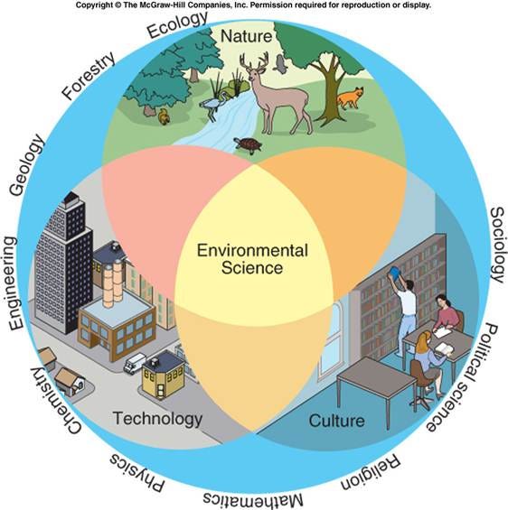 The influence of our environment. The influence of our environment is ...