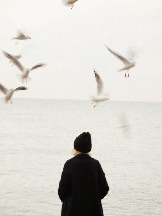 The Dream Far Outweighs Your Actual Goals | by Lia Chen | Medium