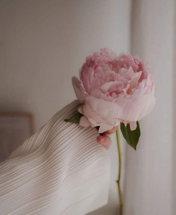 Pink Minimalism. Soft hues, minimalism, and pink-these… | by Ayesha ...