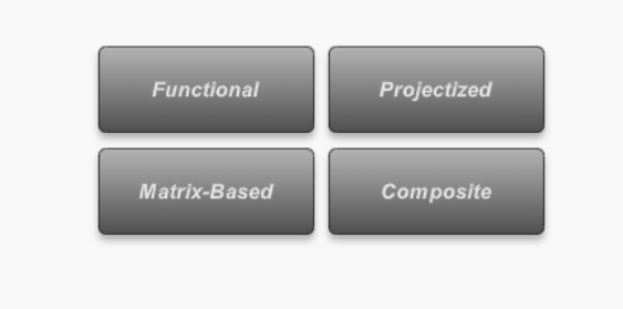 #InitiationStage :: How a Project Team is Organised (Dev Team ...