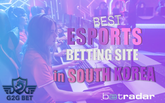 Top Pick for Esports Betting in South Korea: G2G Bet | by G2G BET | Apr, 2024 | Medium