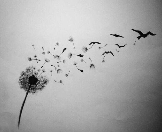 Let her fly. Sempre acreditei que as pessoas têm… | by Carla Mello | Medium