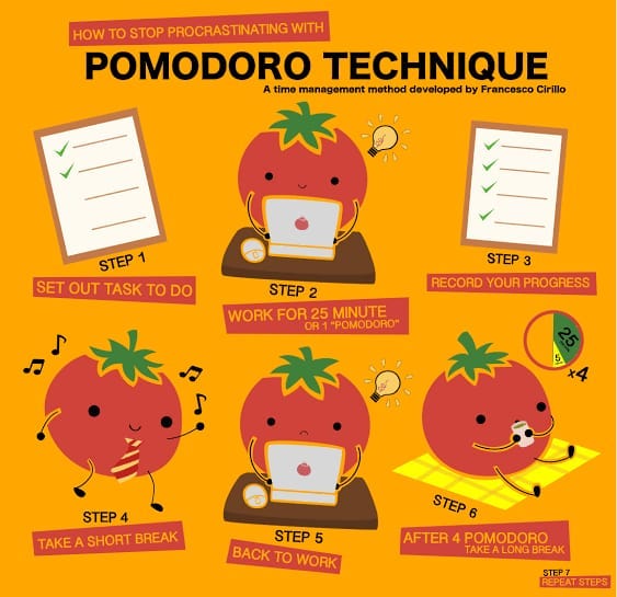 Rational Decision Maker Vs Gratification Monkey | by Aisha Kanwal | Medium