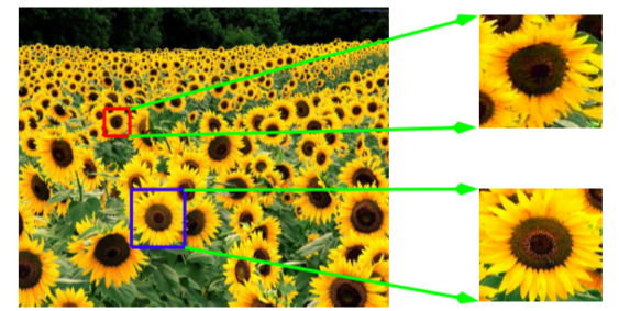 SIFT(Scale-invariant feature transform) | by Minghao Ning | TDS Archive ...