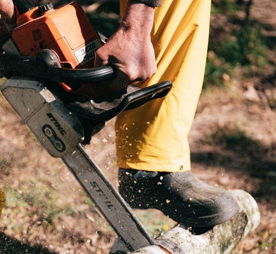 Wausau Tree Service Pros - wausautreeserviceprosus - Medium