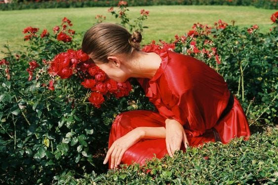 Embracing the Challenge: A New Day of Communication and Learning - Blooming Thoughts - Medium