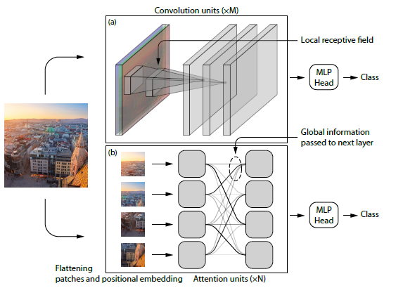 Review — Are Convolutional Neural Networks or Transformers More Like ...