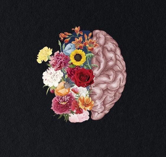 Unlocking the secrets of the human brain: Latest discoveries in ...