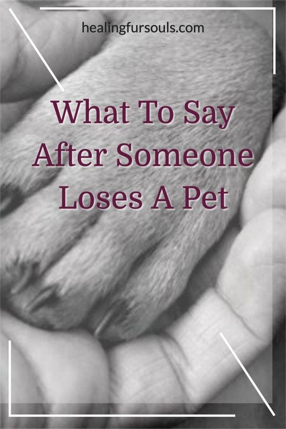 LOSS of PETS and Grief SUPPORT. Introduction Indeed, it is so very ...