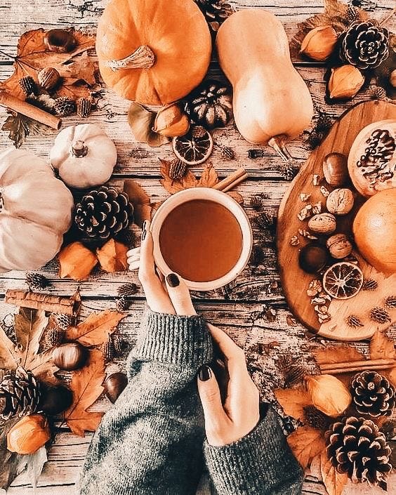 A Week of Medium Reading. What I’ve read and loved this week on… | by ...