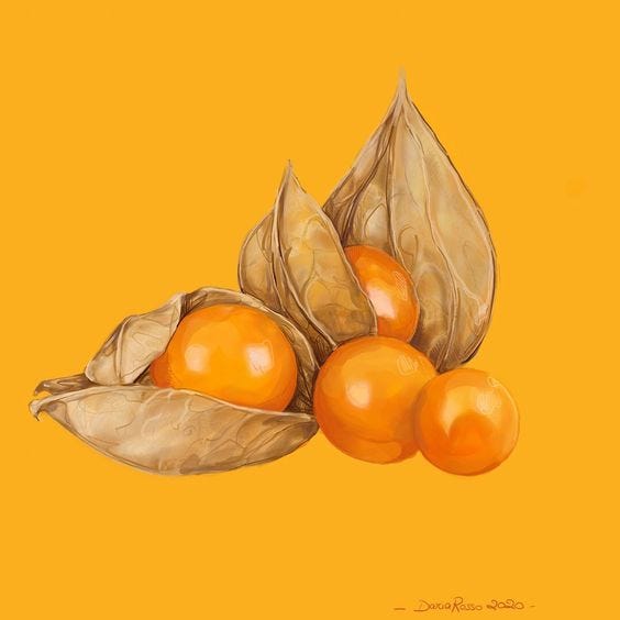 Golden Berries Recipe | by Znaturalfoods | Aug, 2024 | Medium