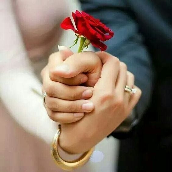 Petals of Appreciation: Heartwarming Rose Day Quotes for a Friend | by ...