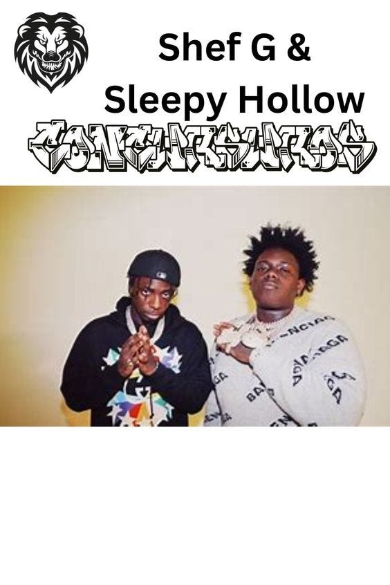Sheff G and Sleepy Hallow: Unexpected Guests at Trump’s Bronx Rally ...
