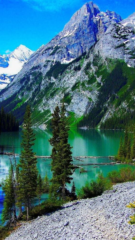Nature’s Symphony: Exploring the Beauty of the Natural World - Serenity Sanctuary - Medium