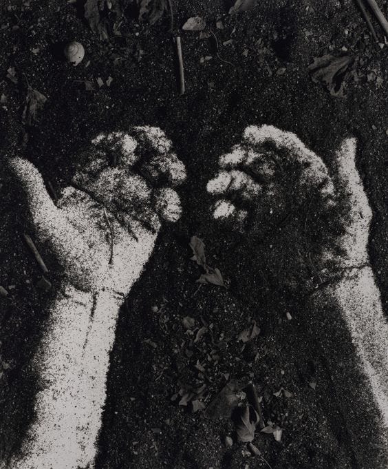 dirt. say, it’s kind of you to make me dirty | by Nancy Key | Jul, 2024 ...