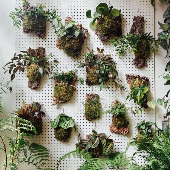 Growing Off the Walls: Five Tips for A Dynamic Living Wall | by France ...