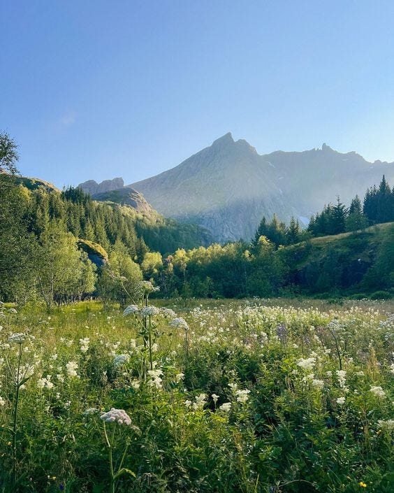 The Ultimate Stress Reducer: Closeness to Nature | by Ashna Ahmad ...