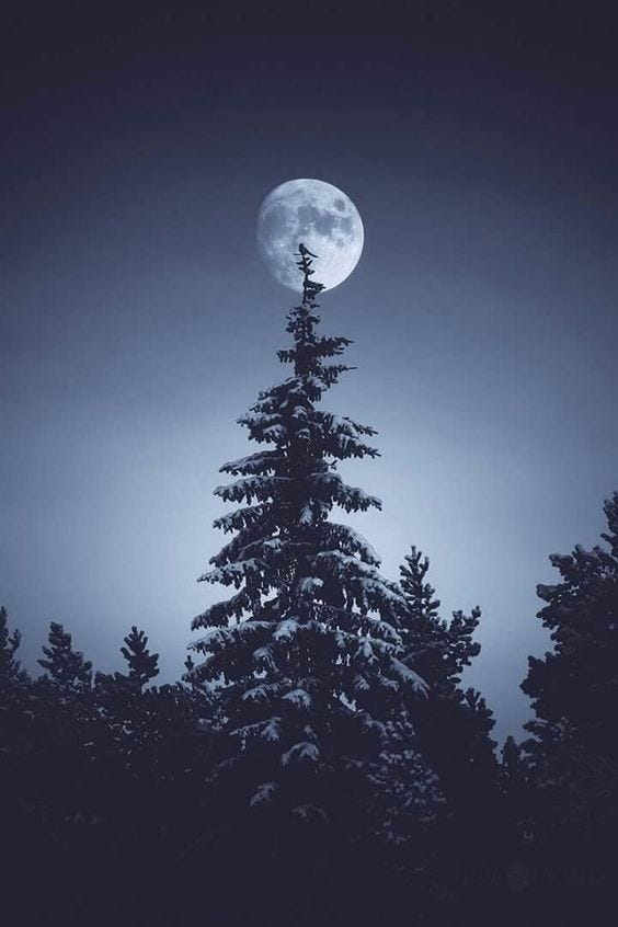mother earth. when i call to her she is faithfully… | by Mela Blust ...