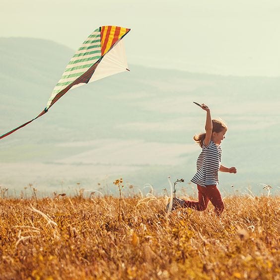 The Day Our Kites Disappeared. There was a time when the sky was… | by ...