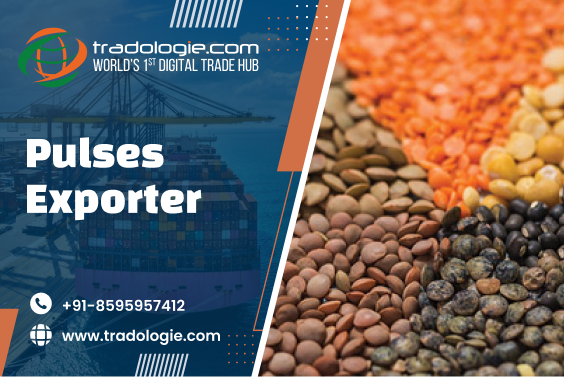 Pulses Exporter - Tradologie - Medium