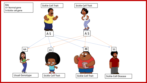 June 19th is World Sickle Cell Day. | by Sickle Cell 101 | Medium