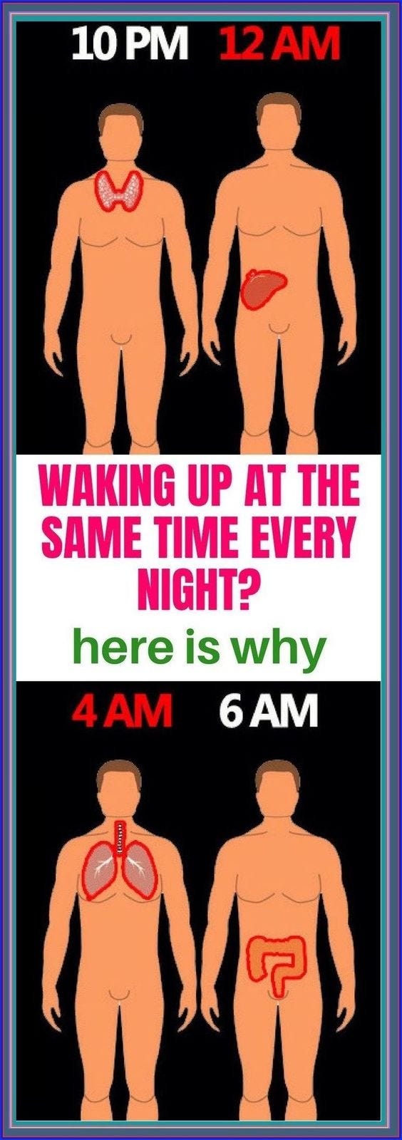 Why You’re Waking Up at The Same Time Every Night - Sina Bagner - Medium