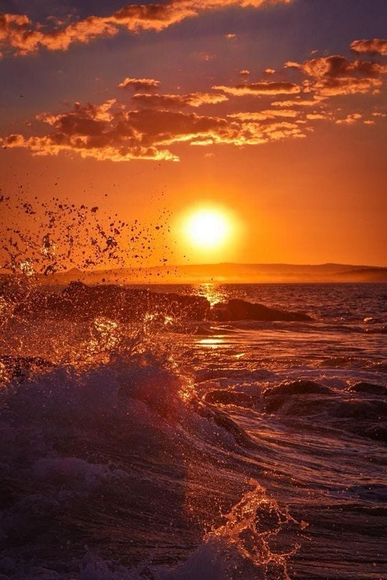 Land vs. Sea: The Crew’s Dilemma Between Freedom and the Strain of Life on Land | by Captain ...