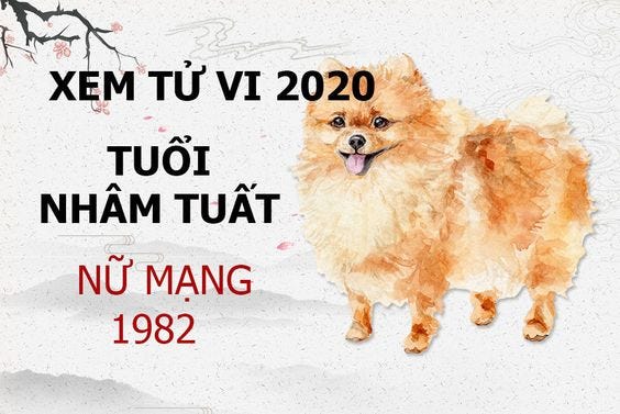 Xem tử vi nhâm tuất 2020 nữ mạng — nhiều tài lộc | by Ngọc Ngà | Medium