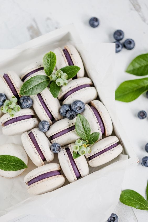 MACARON BLUEBERRY BANDUNG !!! - Fachoco Macaron - Medium