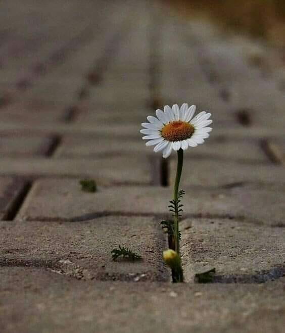 Like a Blow of Wind! - Kalsoom Akhtar - Medium