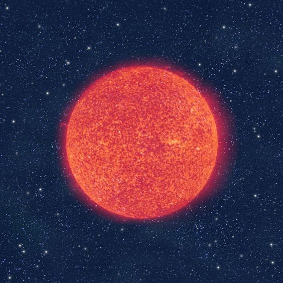 Red Lonestar - Bonnie Chen - Medium
