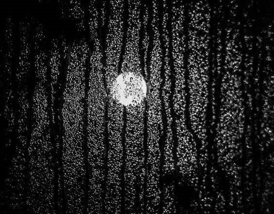 Moonlight + Rainstorm. She was the moonlight; quiet. soft… | by Azbkr ...