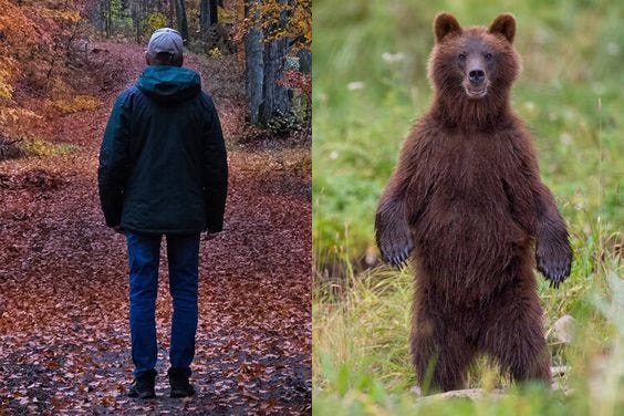 Man vs. Bear. This hypothetical question — whether… | by Lanza | Nov ...