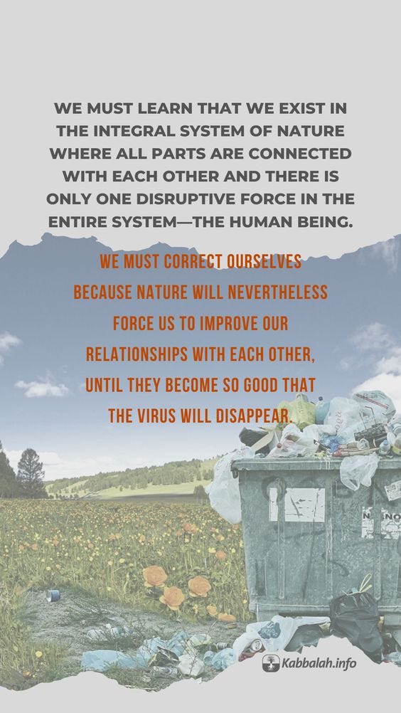 Learning how to relate to Nature — from Nature | by Zsolt Hermann | Medium