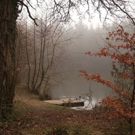 The fear of Autumn. Autumn used to be my favourite season. | by Marla ...