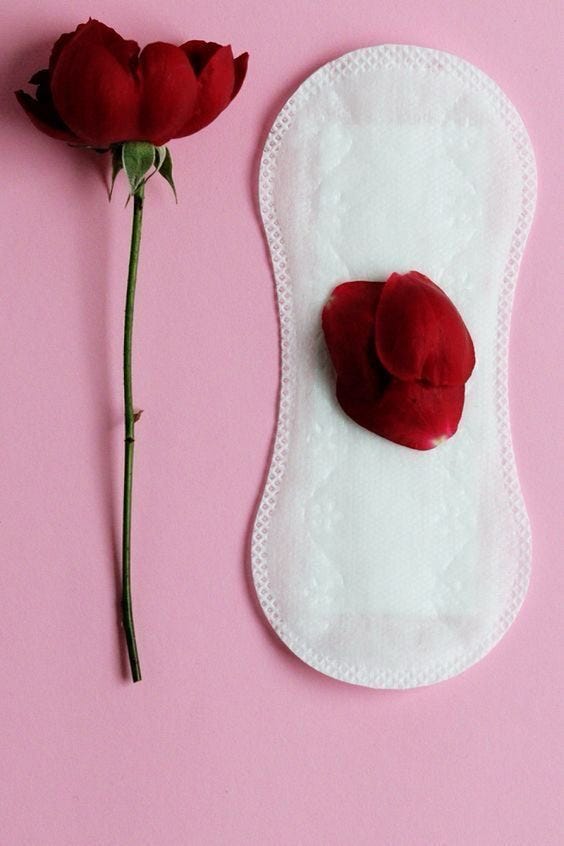 The Red Chronicles: A Tale of Pads, Cravings, and Unsolicited Advice ...