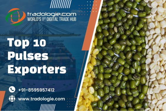 Top 10 Pulses Exporters - Tradologie - Medium